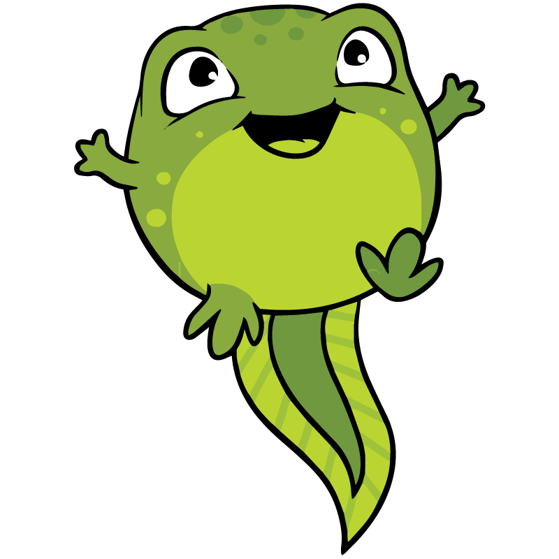 Learn to swim online enrolment quiz - Inner West Council